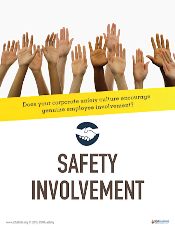 Infographic on Safety Involvement