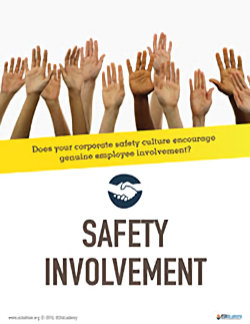 Infographic on Safety Involvement