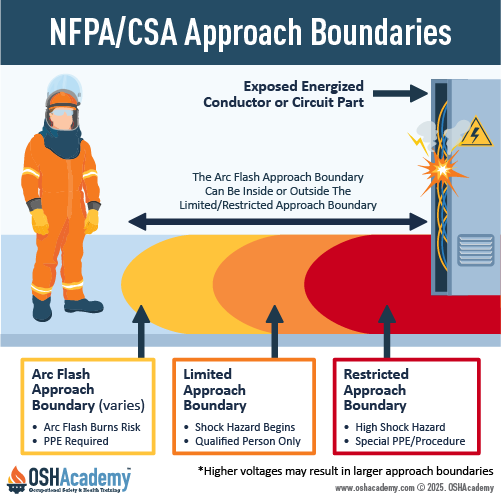 Infographic of Types of Utility Knives