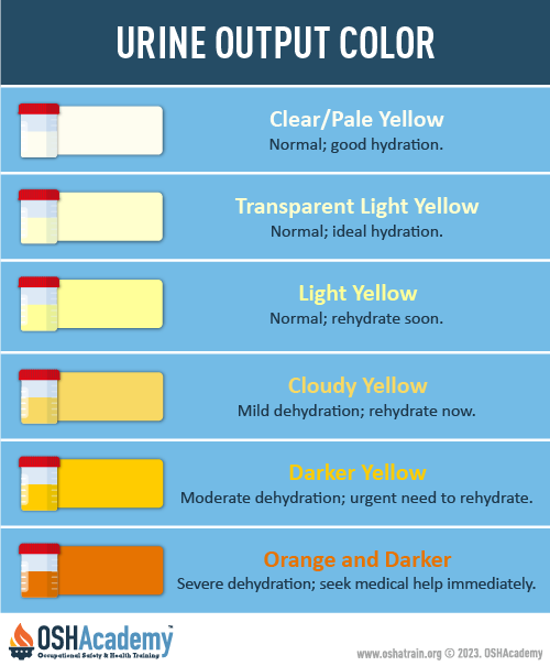 The color of your urine can help you tell if you are drinking enough water.