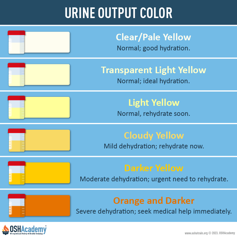 Knowledge Check Choose the best answer for the question.